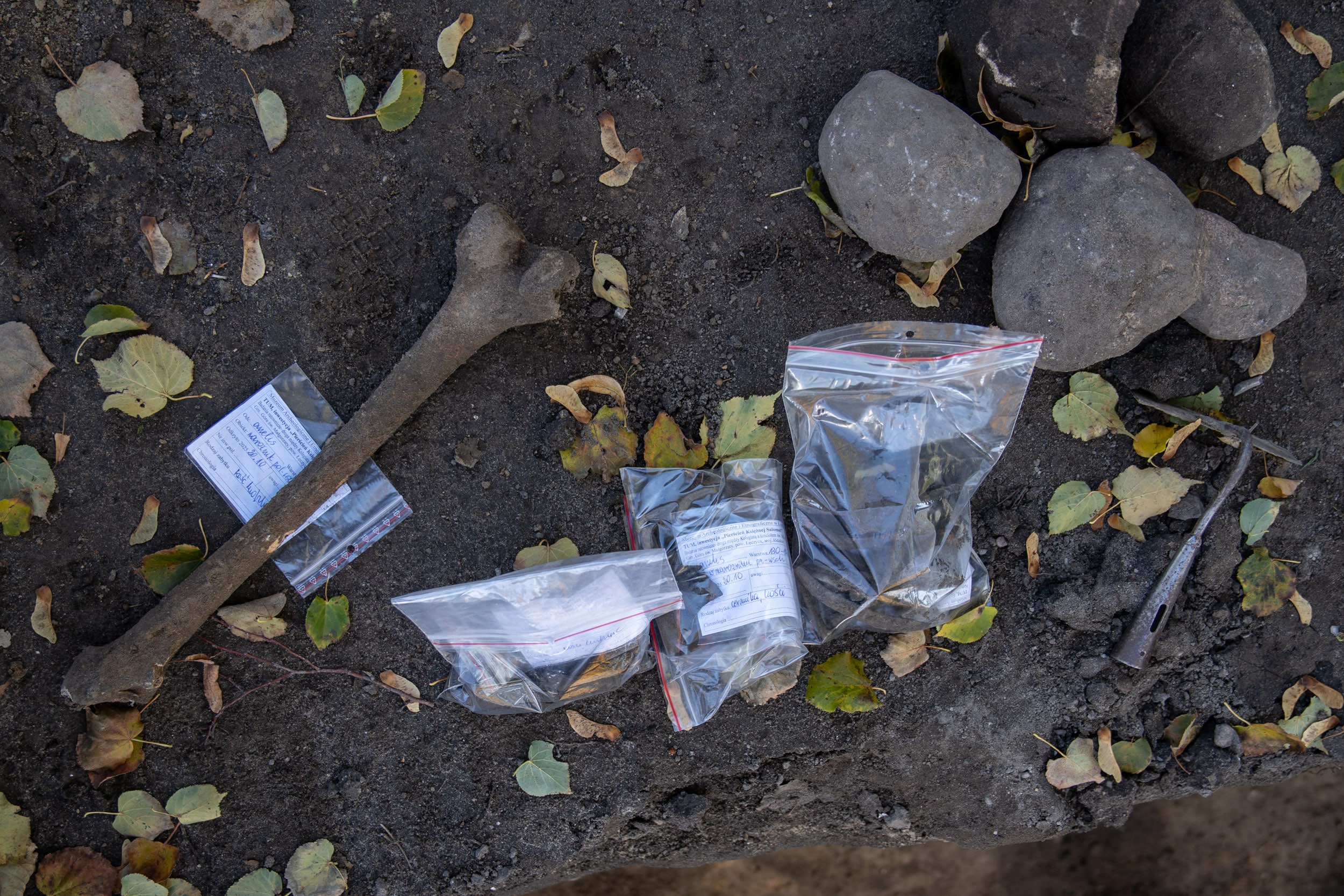 Groby w Tumie: Sensacyjne odkrycie archeologiczne w pobliżu ...